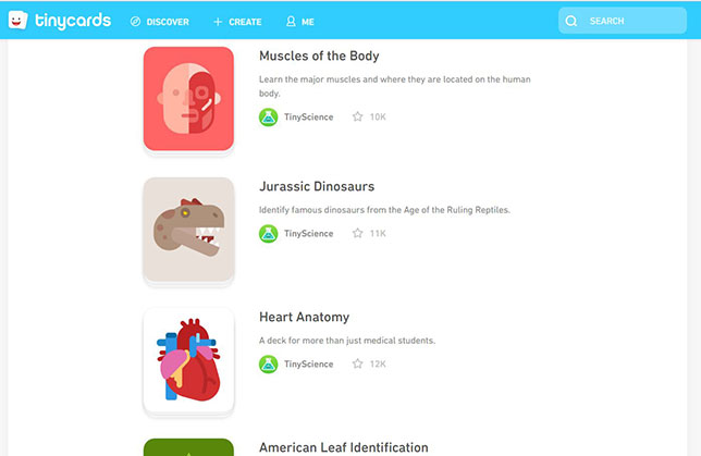 Duolingo Releases Its Tinycards Flashcards App On The Play Duolingo
