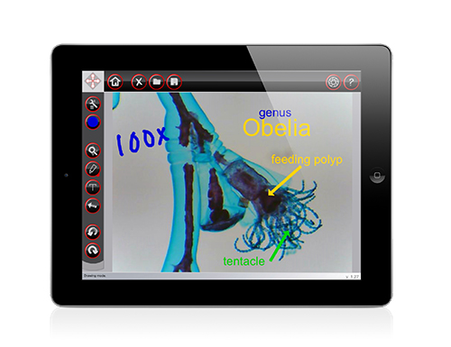 New App Beams Document Camera Images to Students' iPads -- THE Journal